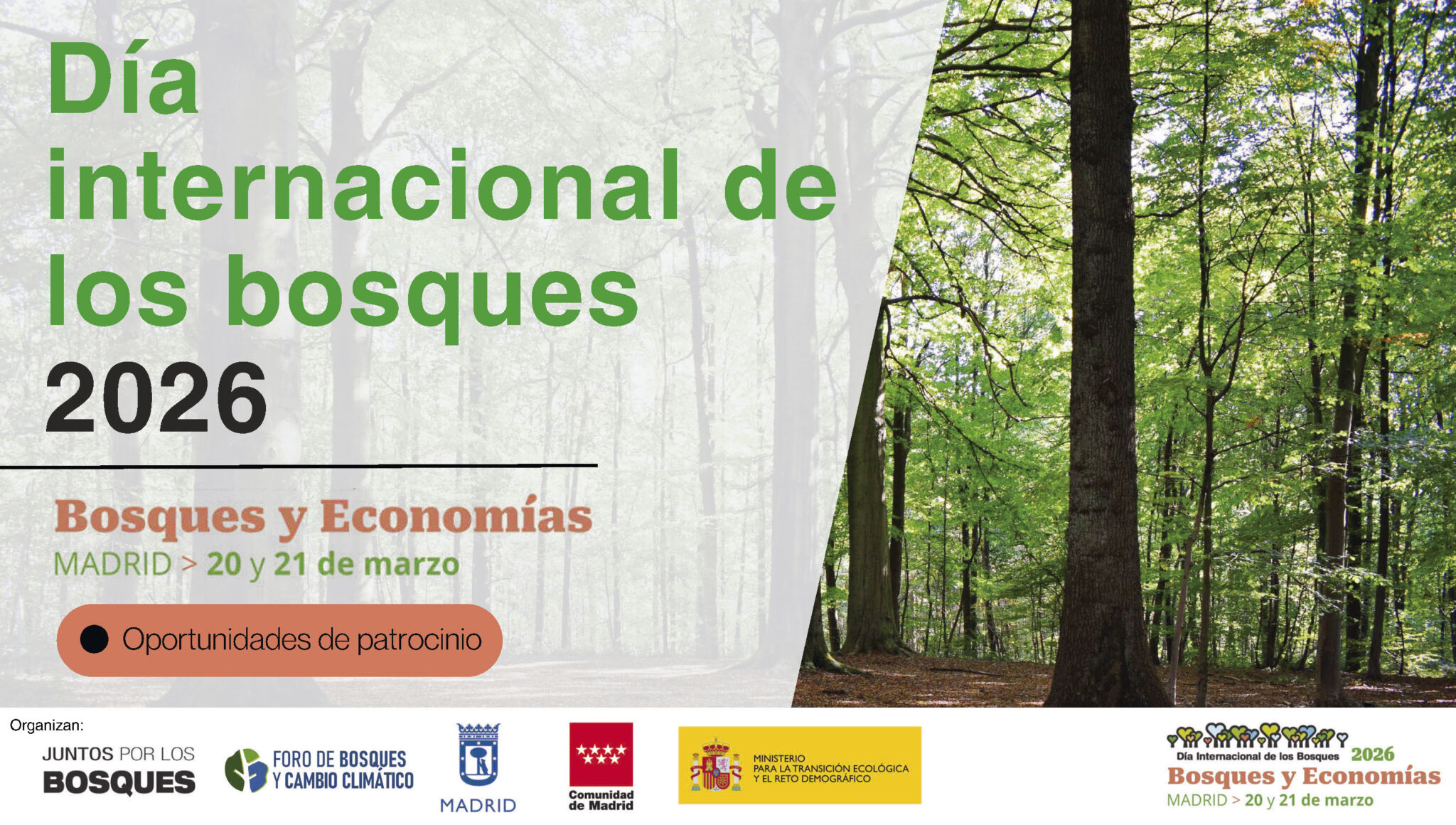 Día Internacional de los Bosques 2026: Bosques y Economías - Asociación ...